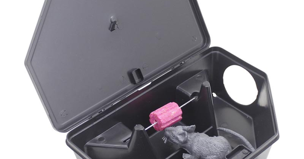 Porta Iscas Com Chave Para Ratos - Ratox 3 - Kit 10 unidades